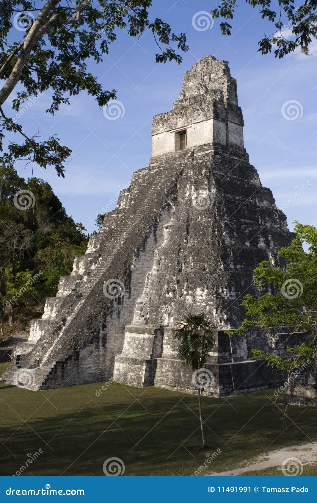 Tikal Pyramid stock image. Image of stairs, guatemala - 11491991