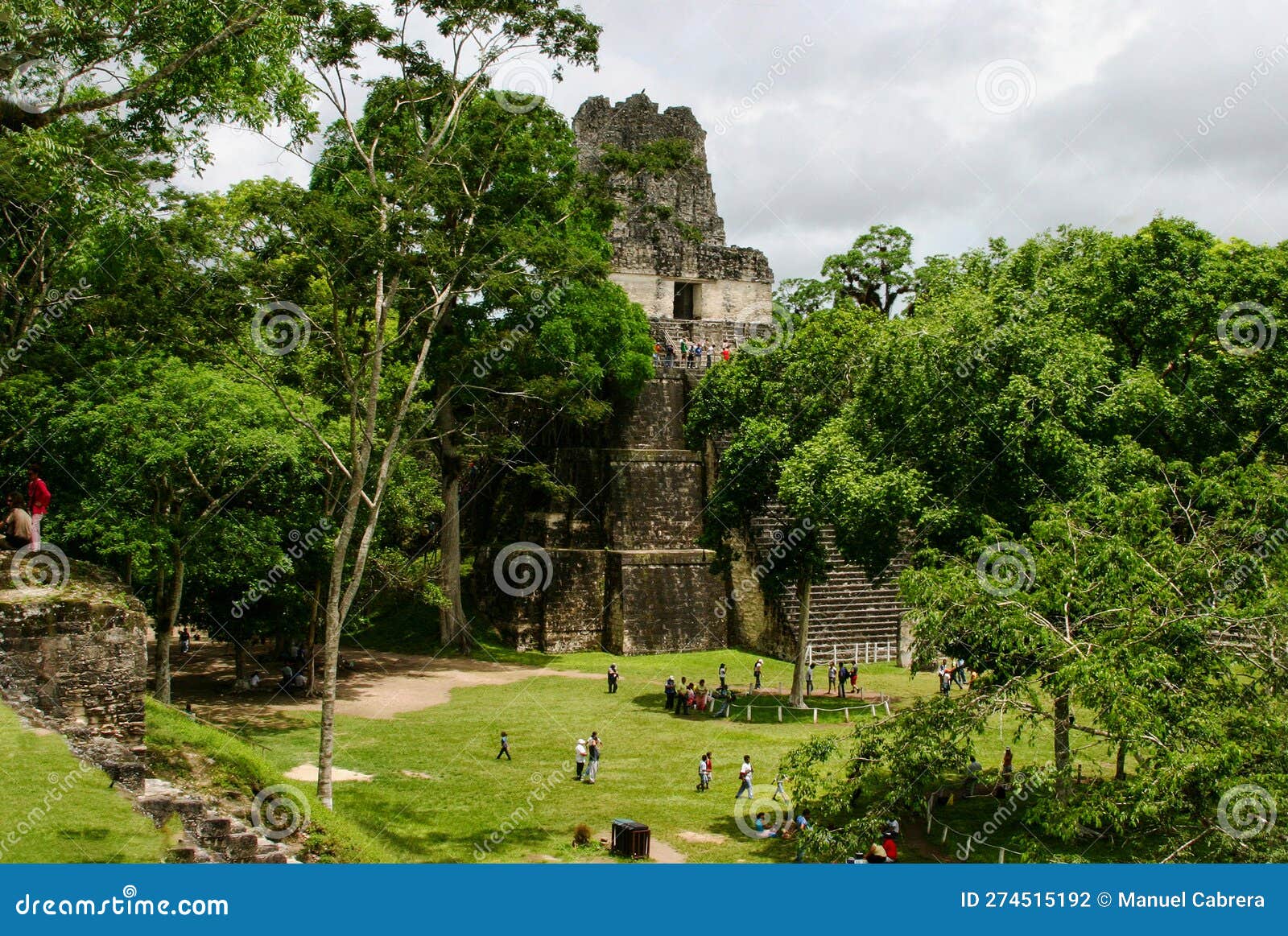 Tikal Ruins stock photo. Image of tree, mayan, castle - 274515192