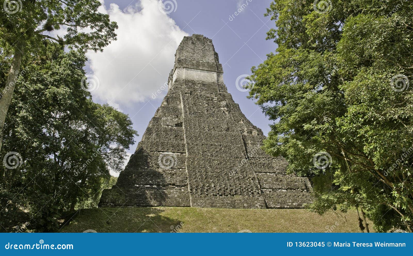 Tikal - temple stock image. Image of tikal, excavation - 13623045