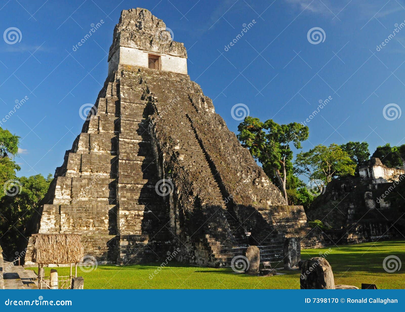 Tikal Temple I scenic stock photo. Image of ruins, columbian - 7398170