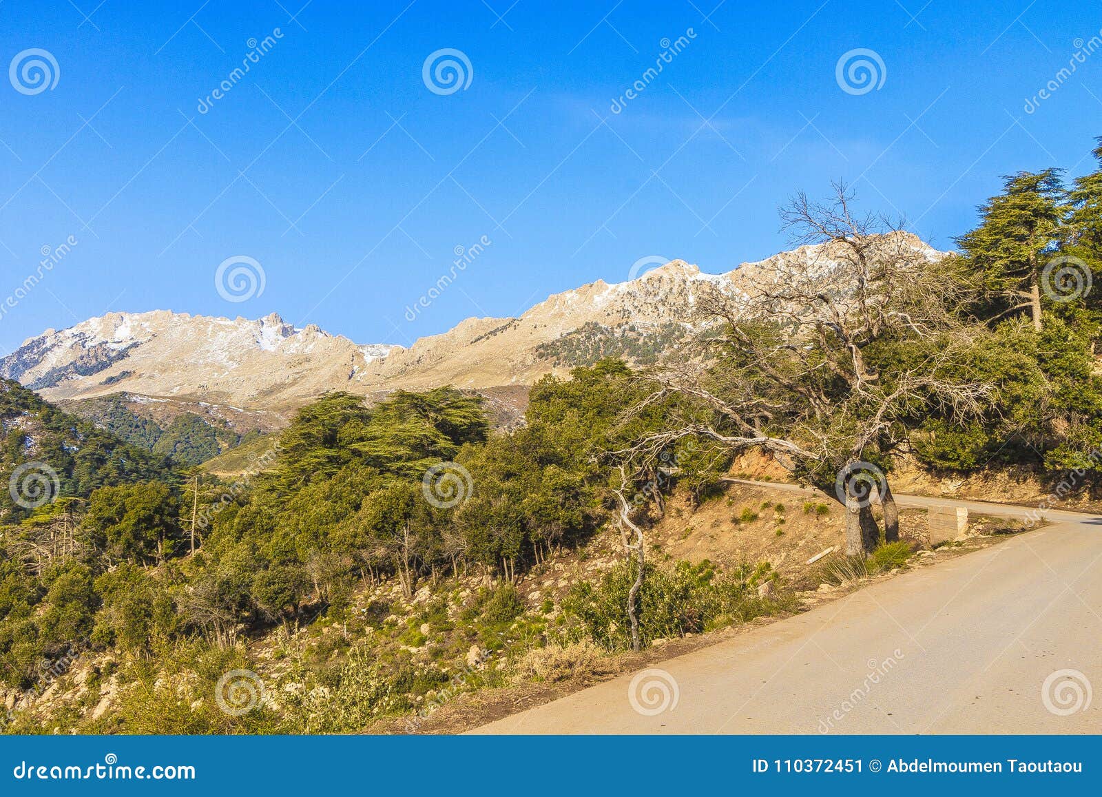 Tikejda stock image. Image of adventurous, cedrus, algerian - 110372451