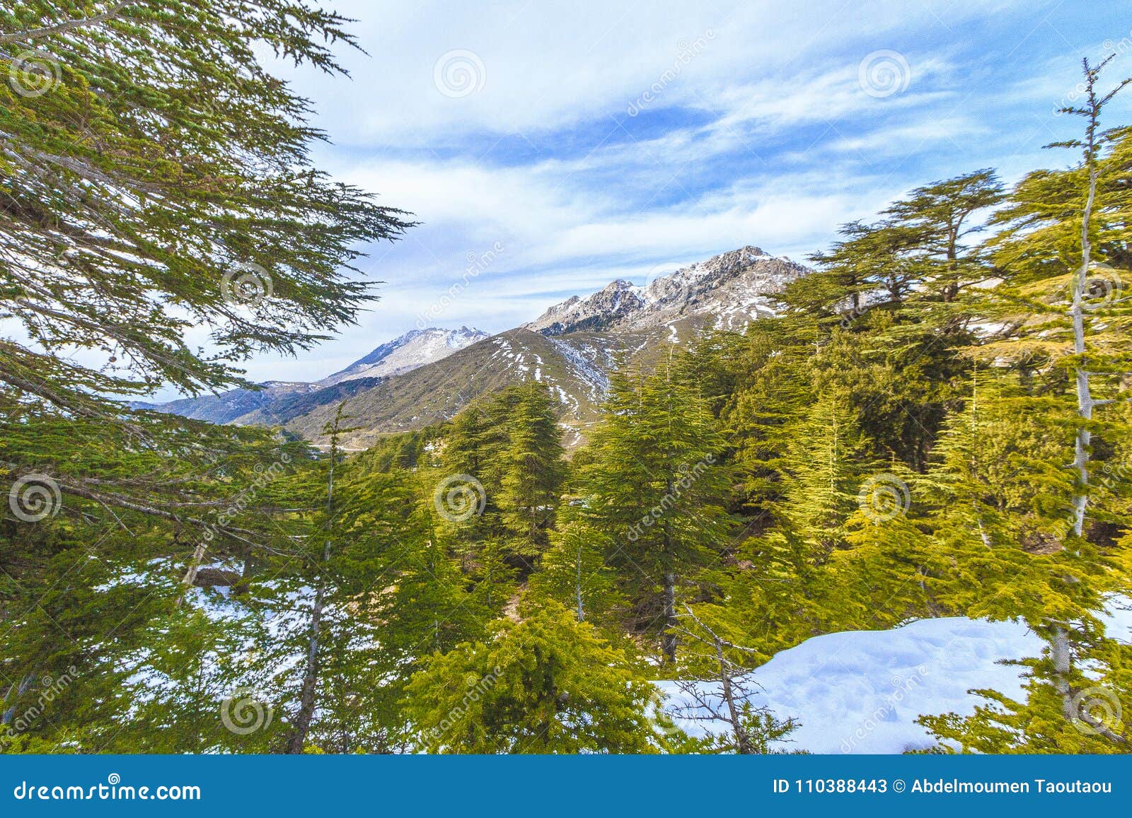 Tikejda editorial stock photo. Image of happiness, green - 110388443