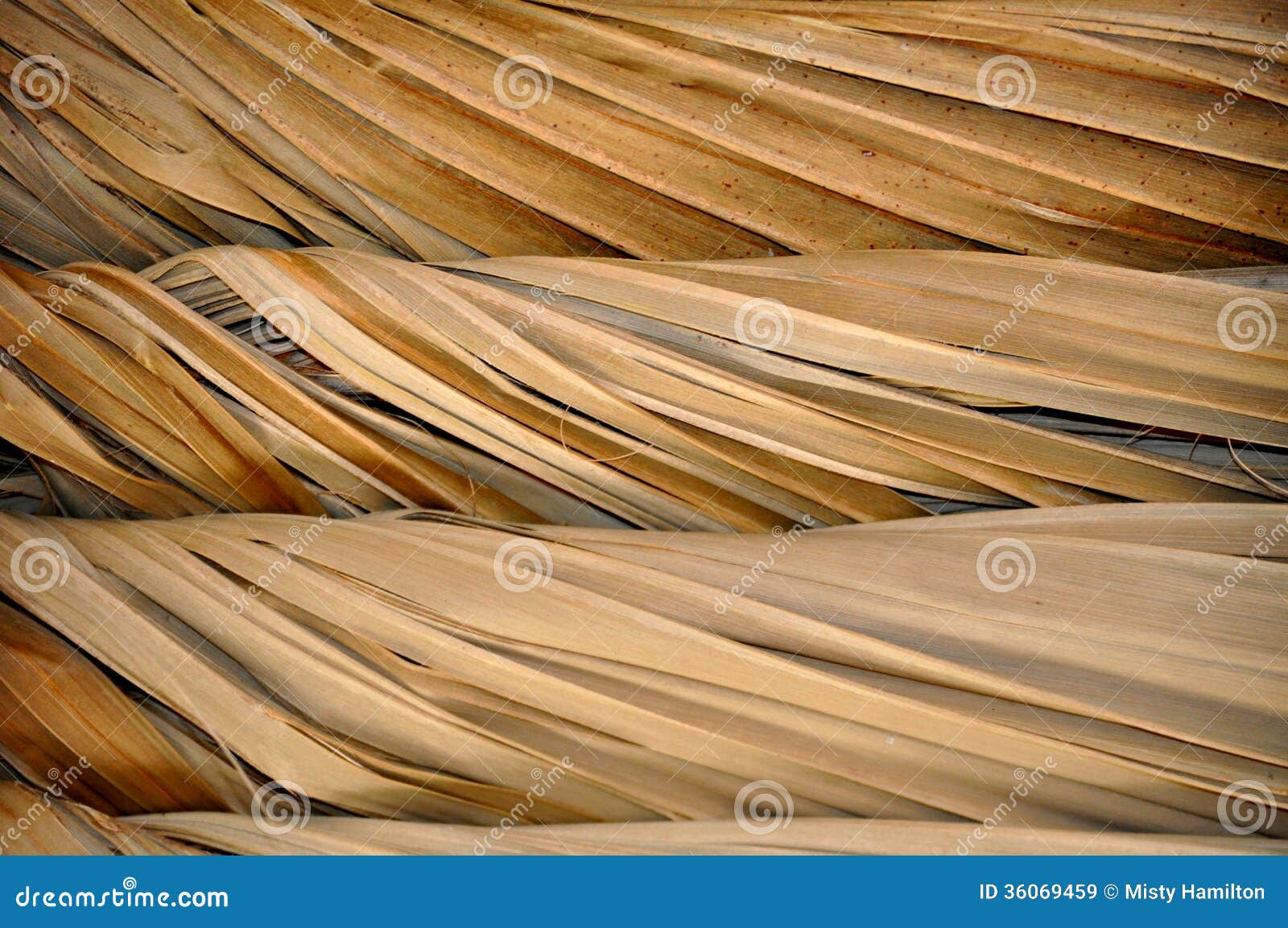 Tiki Roof Natural Frame Structure Photos - Free & Royalty-Free Stock ...