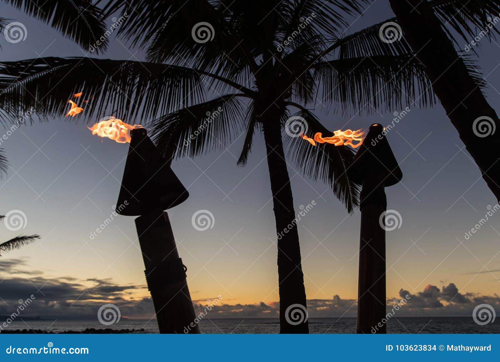 Tiki Torch at night stock photo. Image of flickering - 103623834