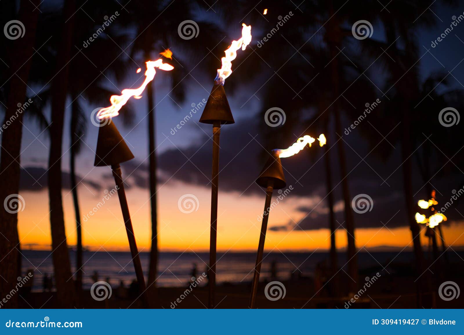 Tiki Torch and Palm Trees Silhouette after Sunset Stock Image - Image ...