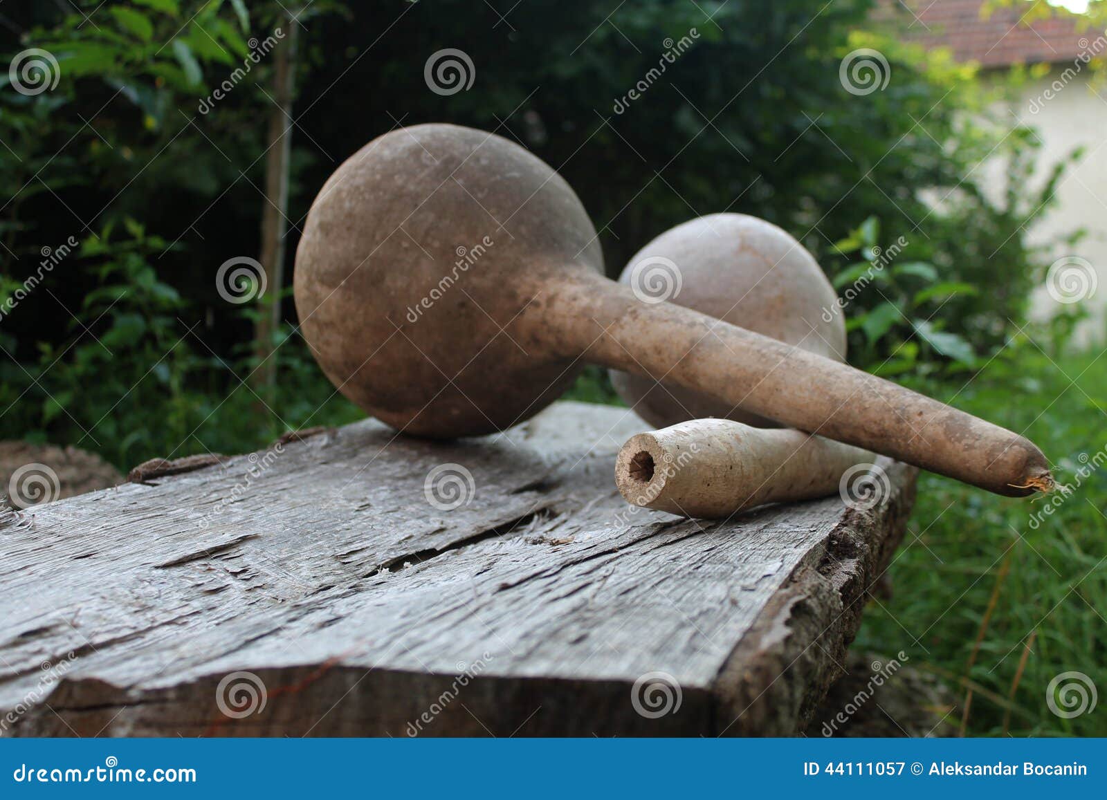 Tikva stock afbeelding. Image of chili, leven, braambes - 44111057