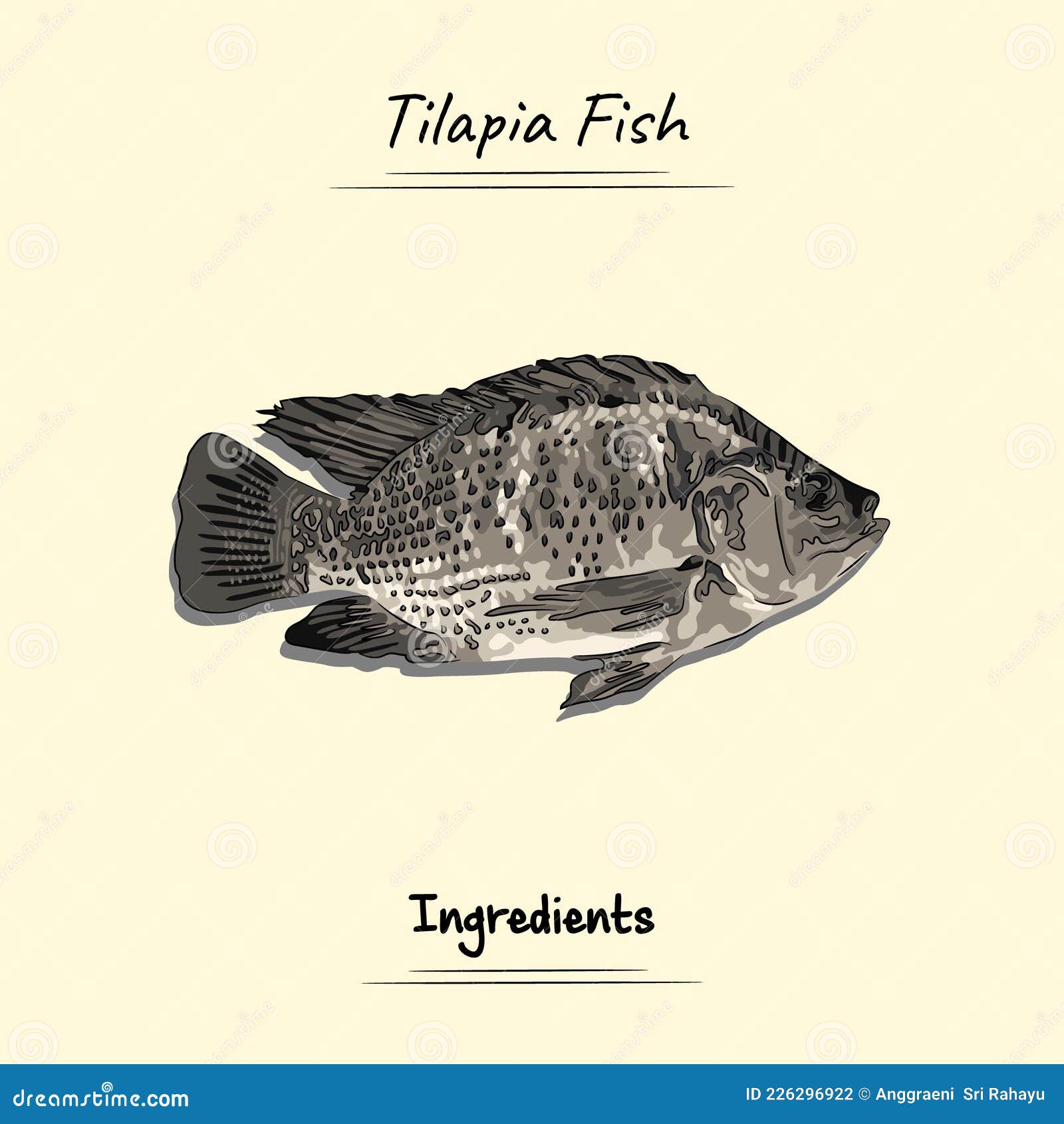 Tilapia Freshwater Fish, Fresh Aquatic Fish Species Cartoon Vector ... Tilapia Freshwater Fish, Fresh Aquatic Fish Species Cartoon Vector ...