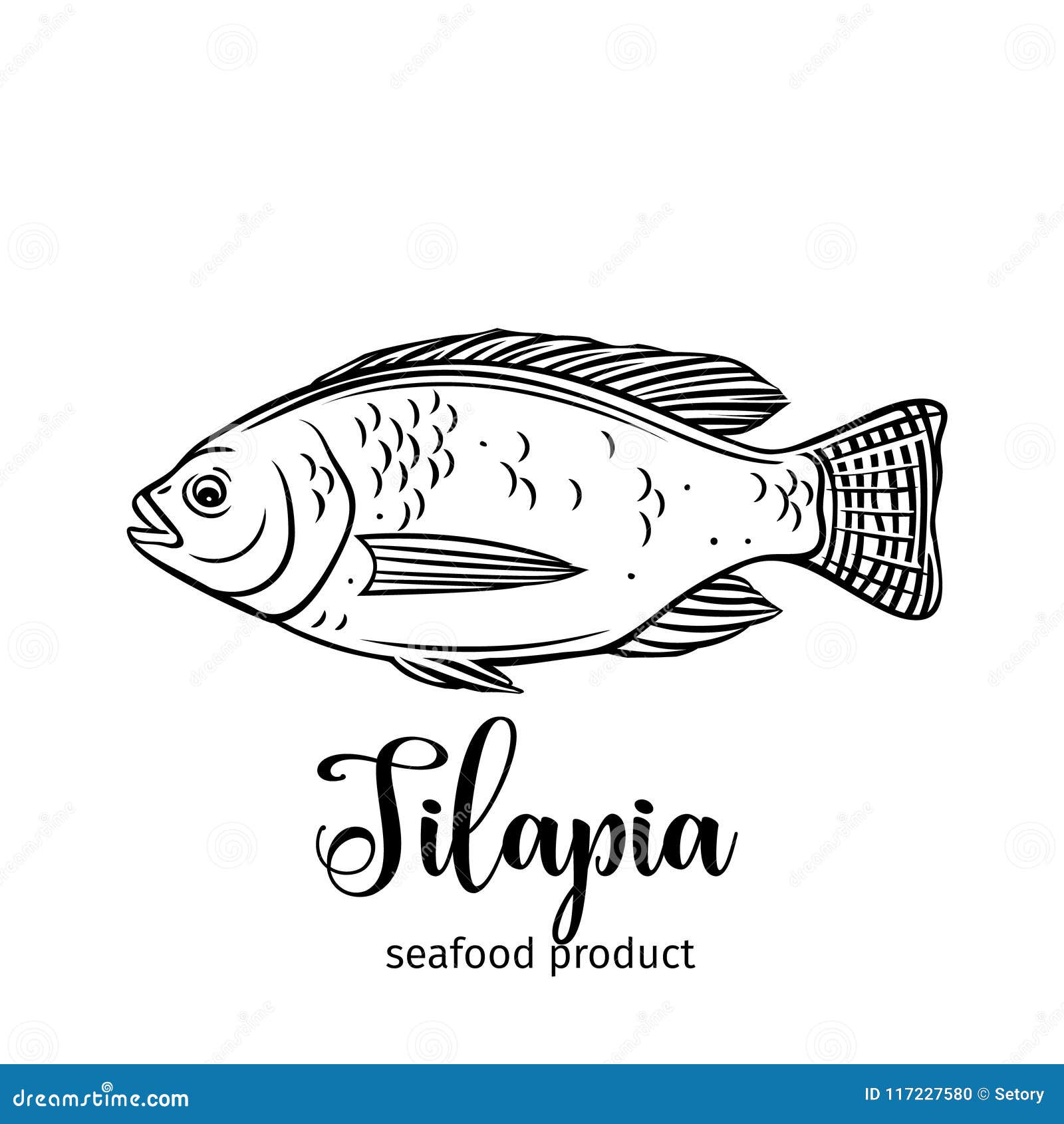 Tilapia del vector ilustración del vector. Ilustración de fauna - 117227580