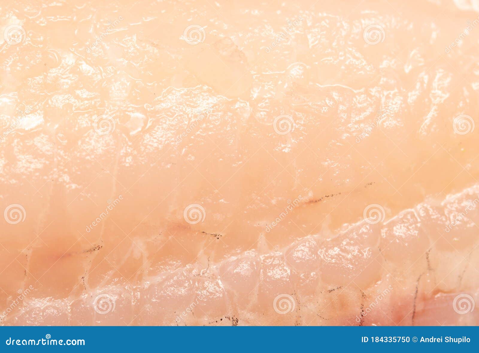 Tilapia Fish Fillet As Background Stock Photo - Image of cuisine ...