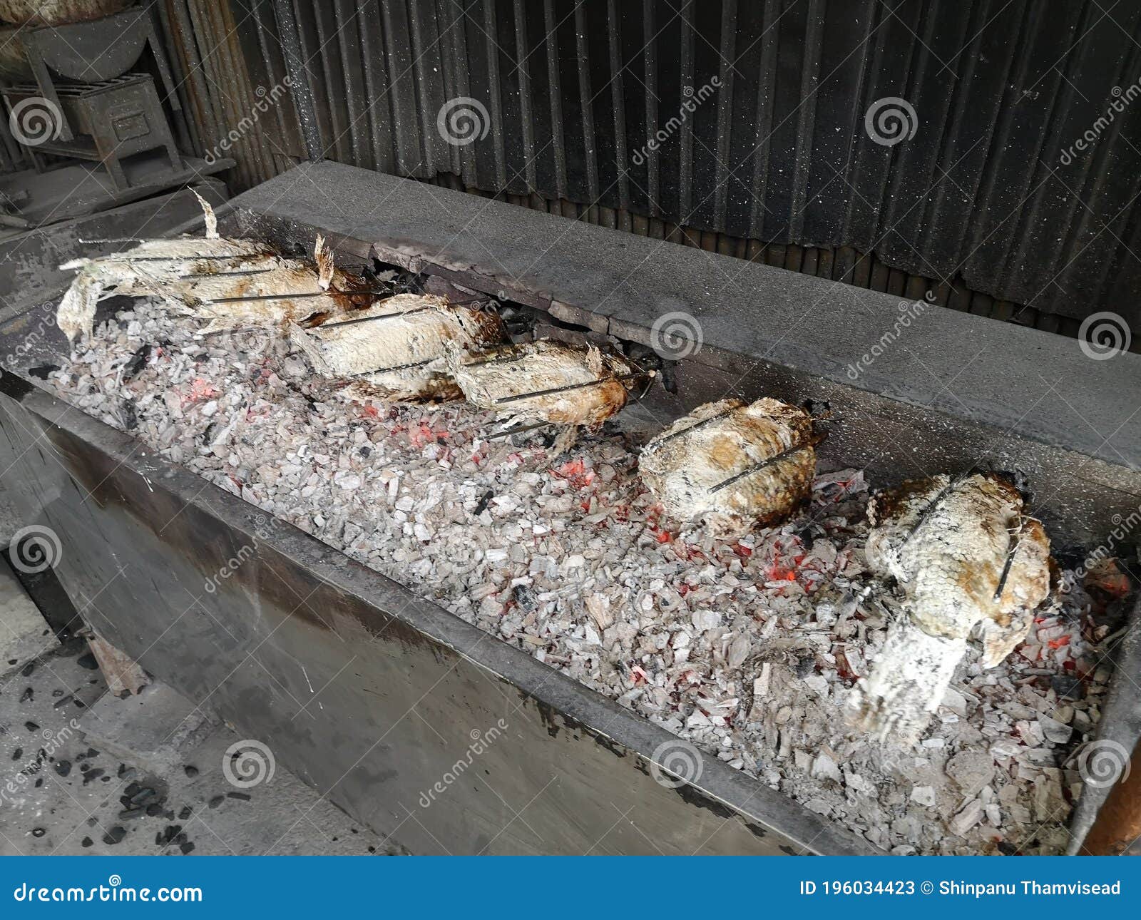 Coal Turtle Or Red-footed Turtle Chelonoidis Carbonaria - Type Of Land ...