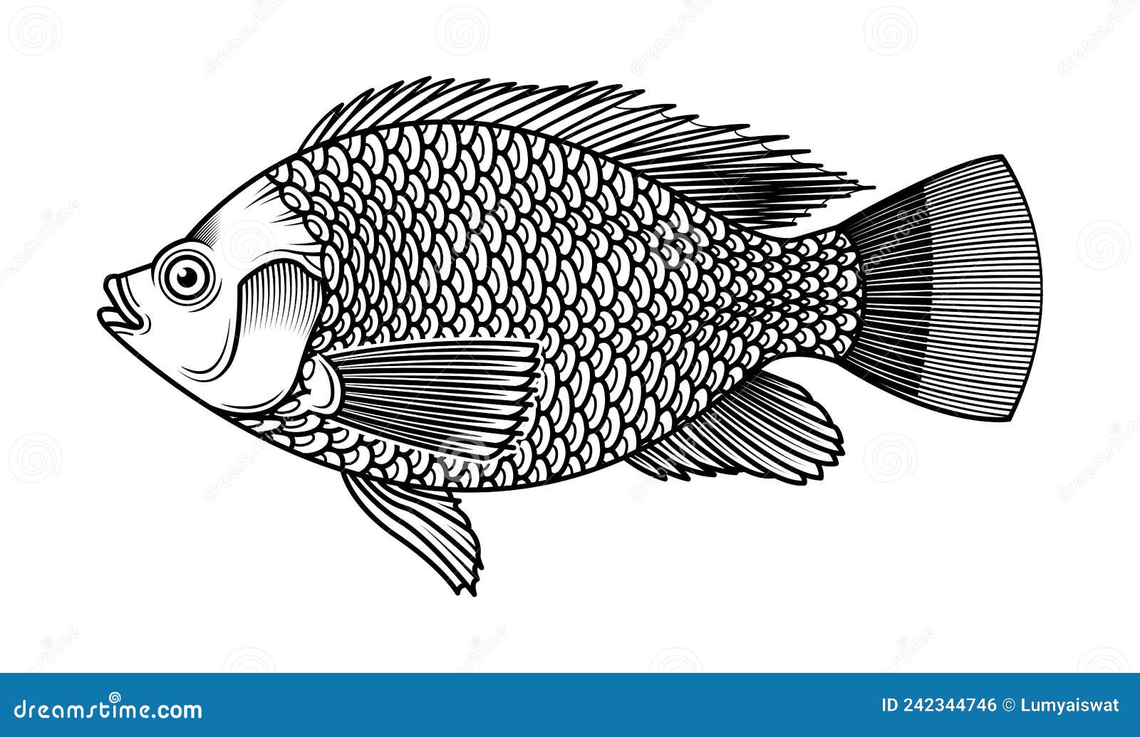 Tilapia Fish Cartoon Vector | CartoonDealer.com #36311725