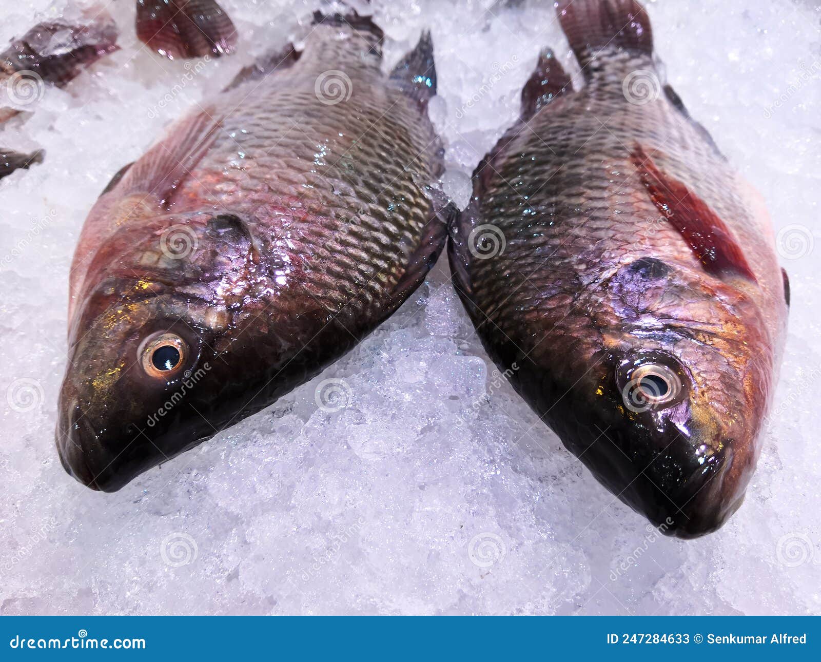 Kerala Fish Kari Stock Photos - Free & Royalty-Free Stock Photos from ...