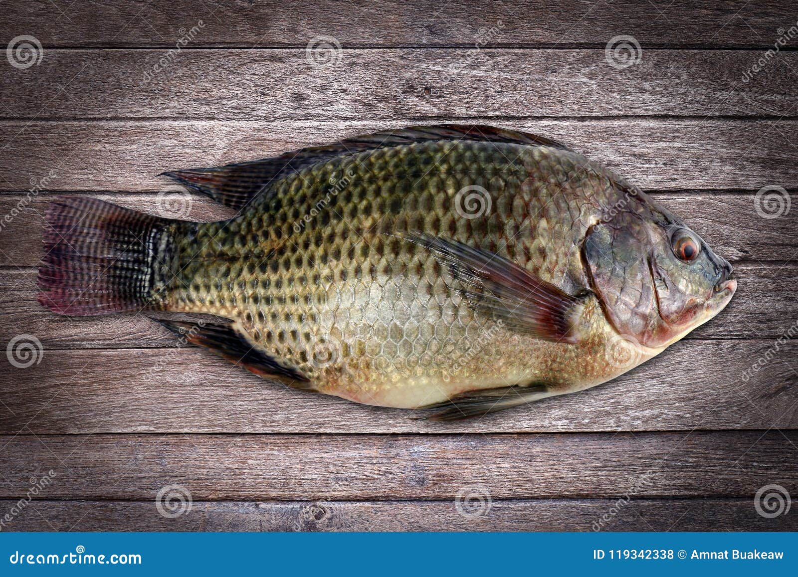 Tilapia, Fresh Nile Tilapia Fish on Wooden Background Stock Photo ...