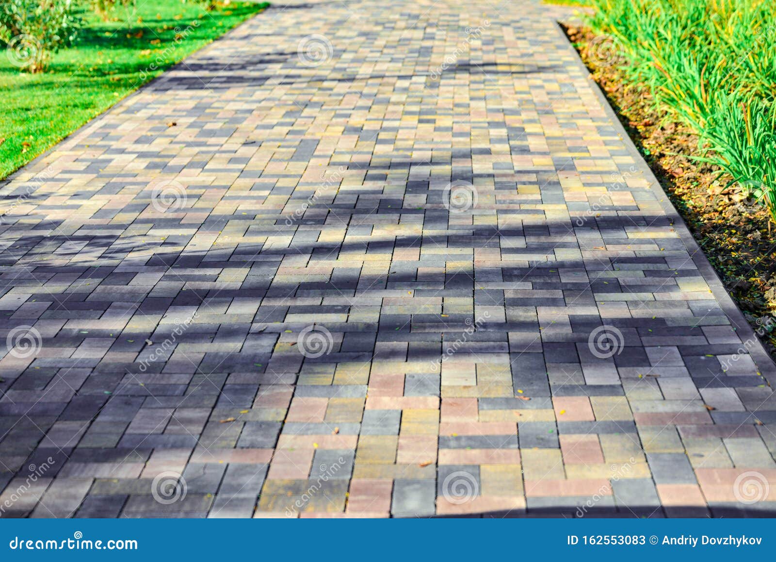 Tile Path in the Park, Green Grass Grows on the Sides Stock Image ...