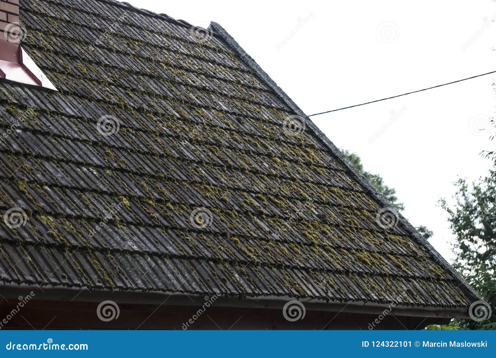 Tile on the Roof are Covert with Moss Stock Image - Image of clean ...
