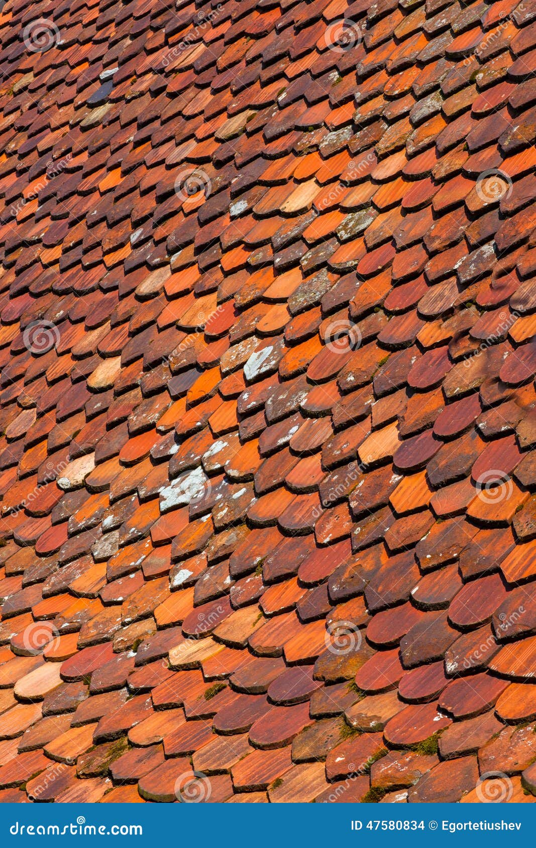 Tile roof sloped stock photo. Image of pattern, outdoors - 47580834