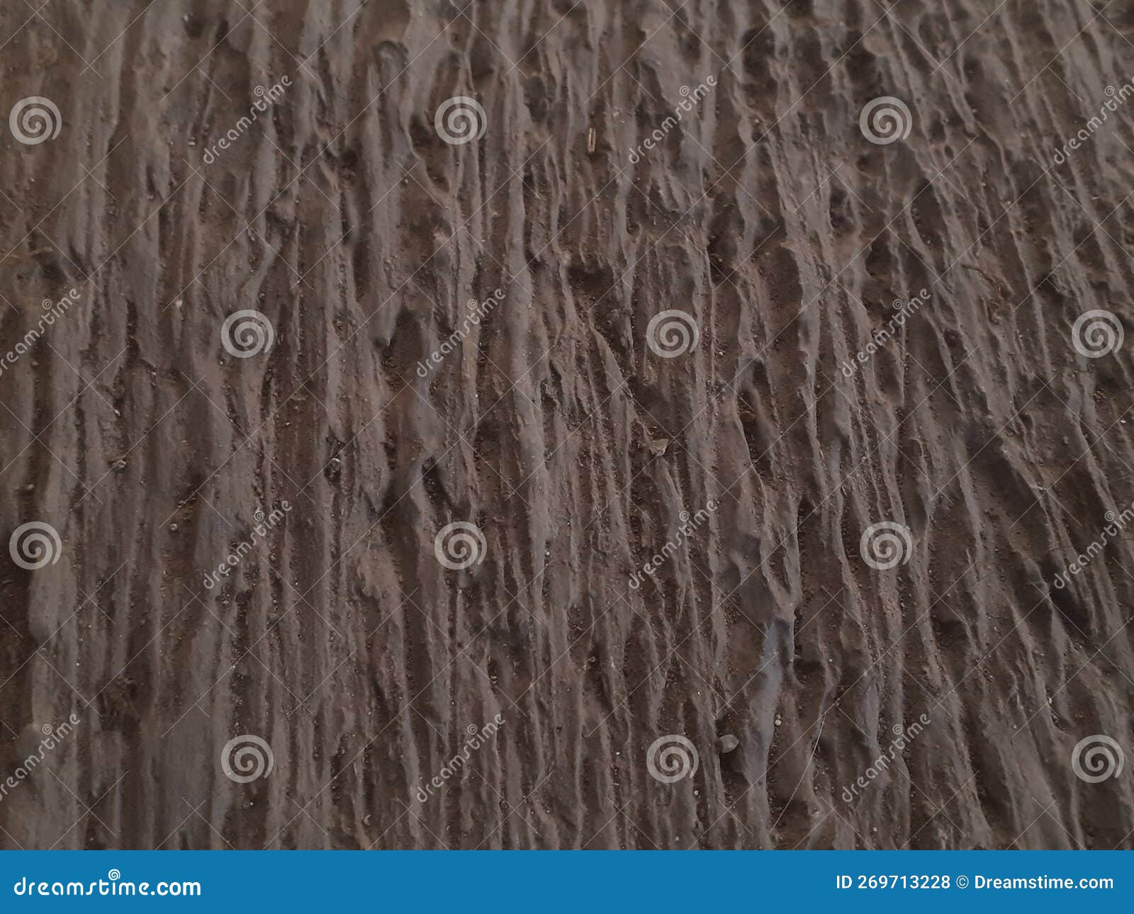 Wood Teksture Background Modern Wallpaper Stock Photo | CartoonDealer ...