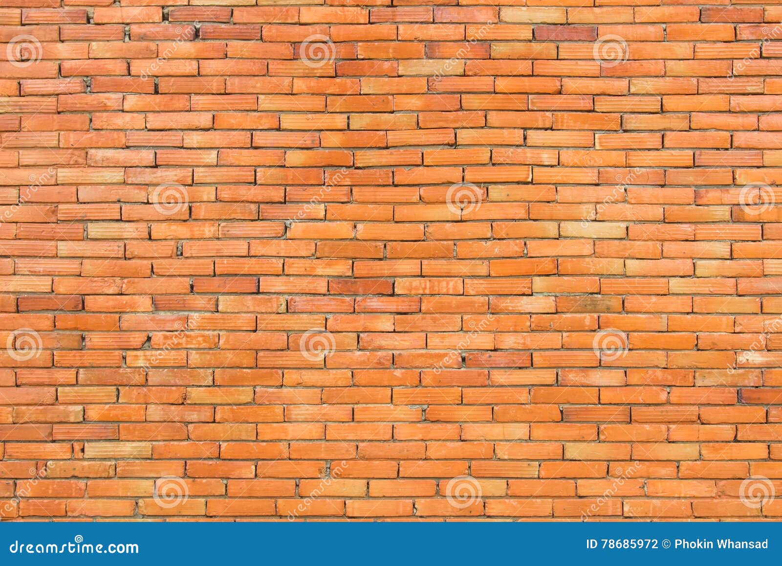 Tile Wall High Resolution Real Photo.tile Wall Seamless Backgro Stock ...