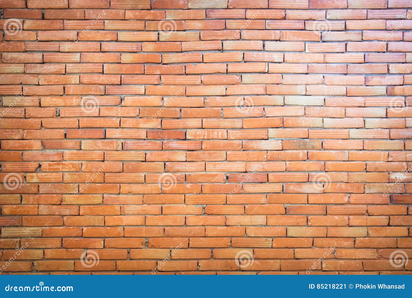 Tile Wall High Resolution Real Photo.tile Wall Seamless Stock Image ...