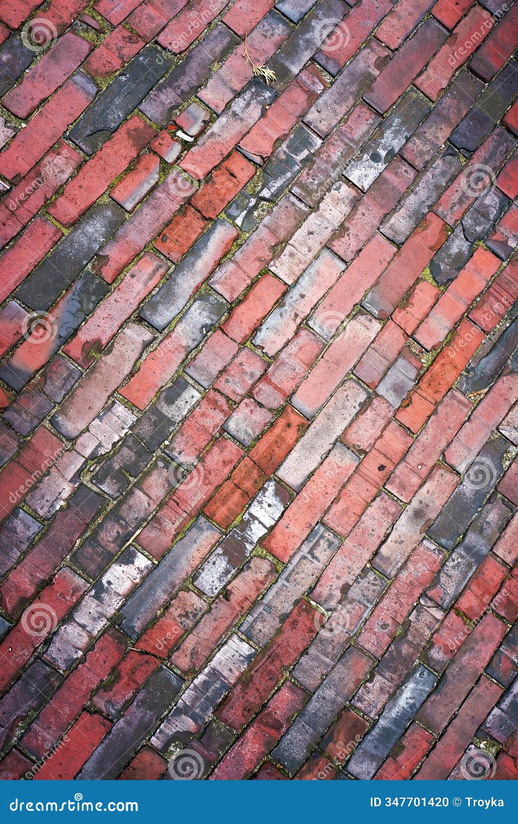 Tiled Bricks Pavement. Red Textured Background. Vertical Smartphone ...