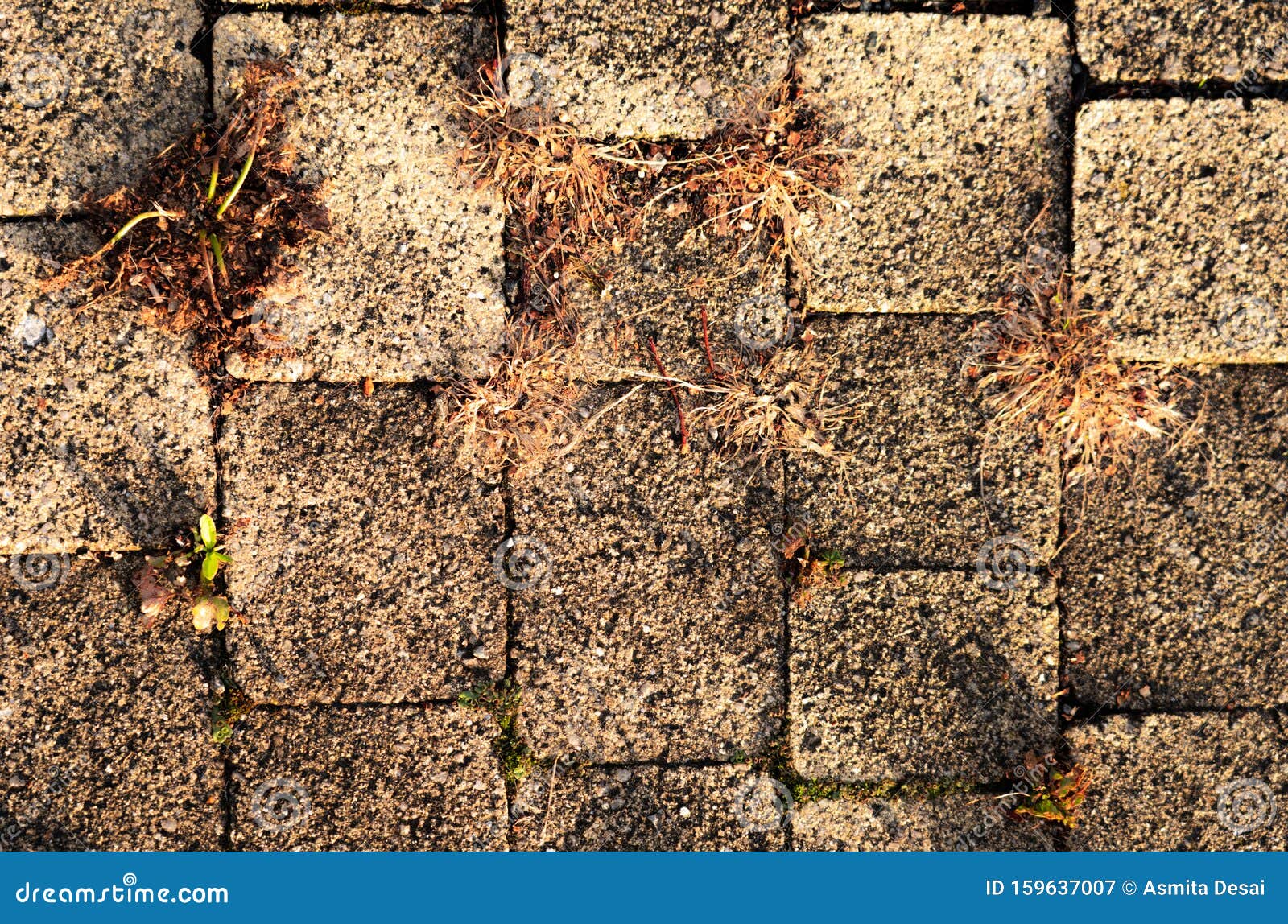 Tiled Footpath Road Close Up Version Stock Image - Image of concrete ...