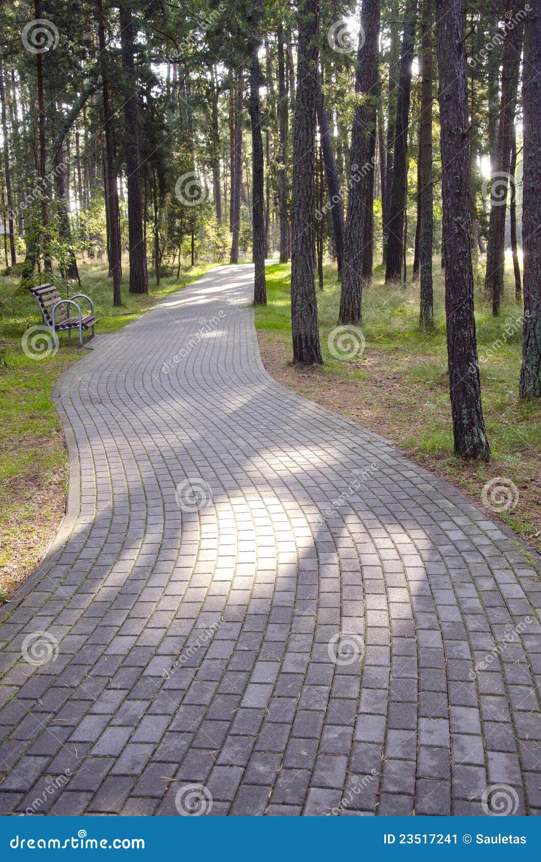 Tiled Path Curve In Park Forest. Bench Resort Area Stock Image ...