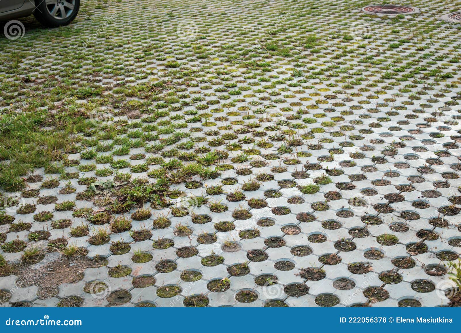 Tiled Path with Grass Weeds at Car Site Stock Photo - Image of nature ...