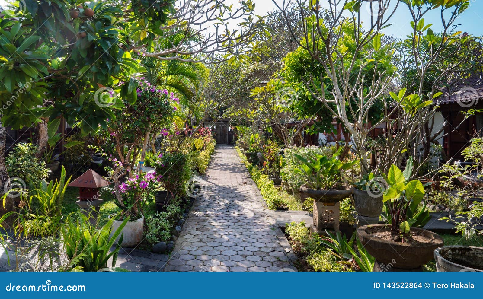 Tiled Path Curve In Park Forest. Bench Resort Area Stock Image ...