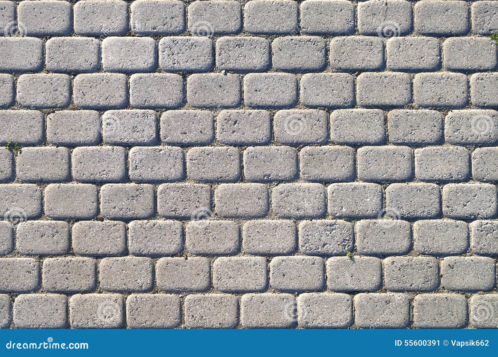 Tiled pavement. stock image. Image of sidewalk, pavement - 55600391