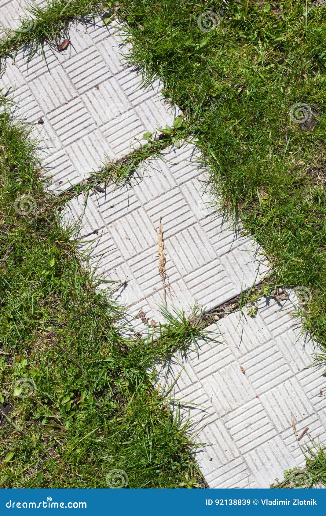 A tiled walkway stock image. Image of stone, path, landscape - 92138839