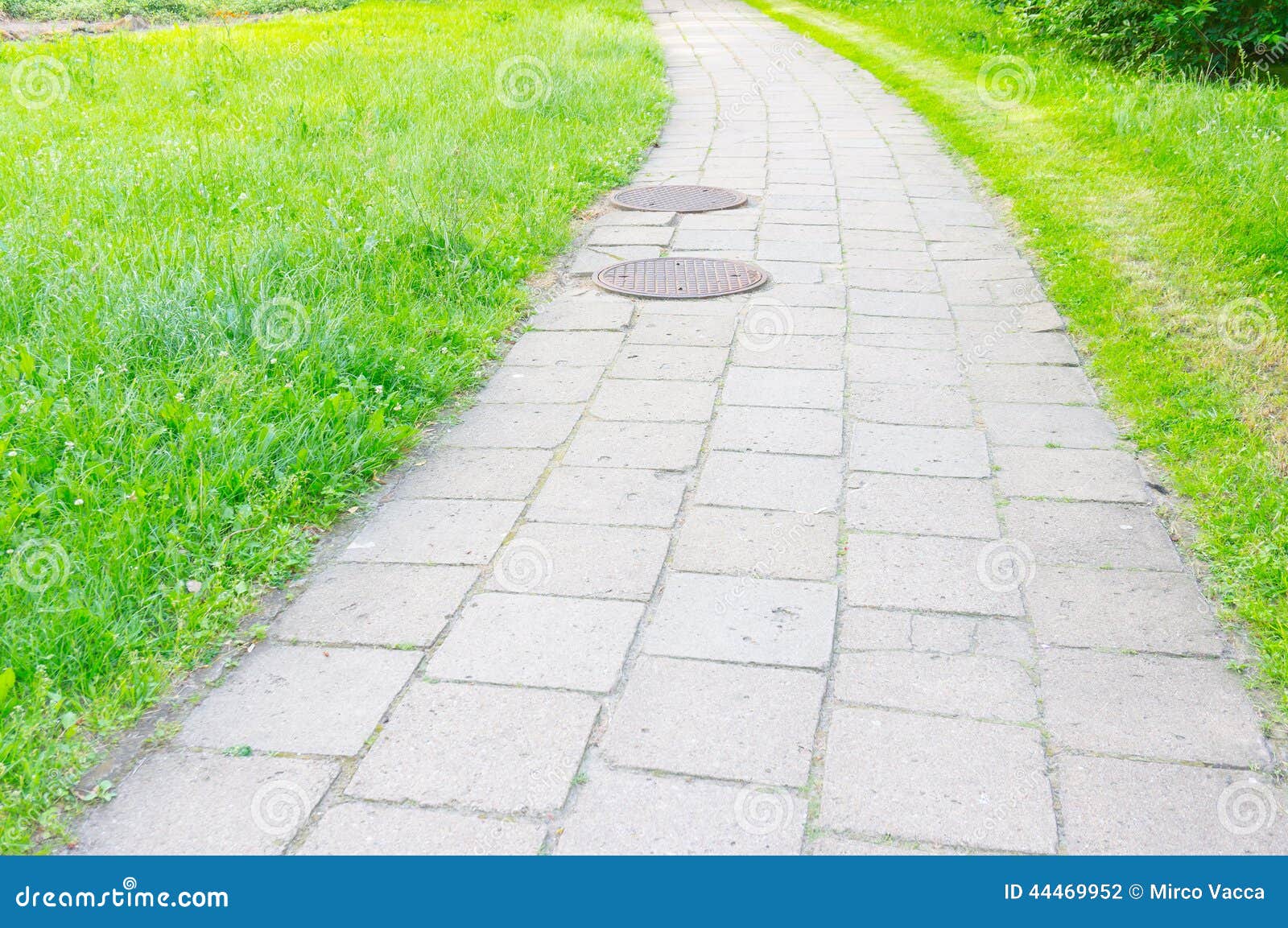 Tiles footpath stock photo. Image of cobblestone, plants - 44469952