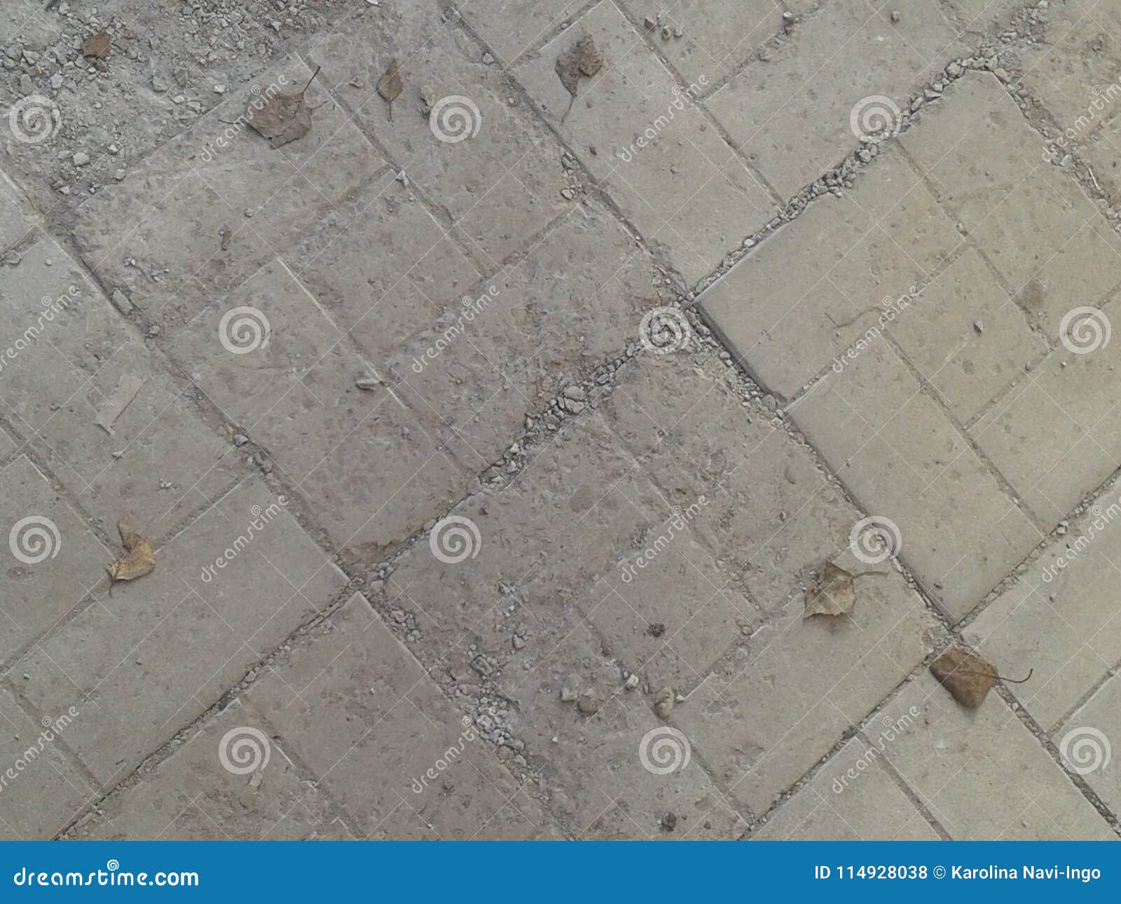 Tiles in the garden. stock photo. Image of spring, tiles - 114928038