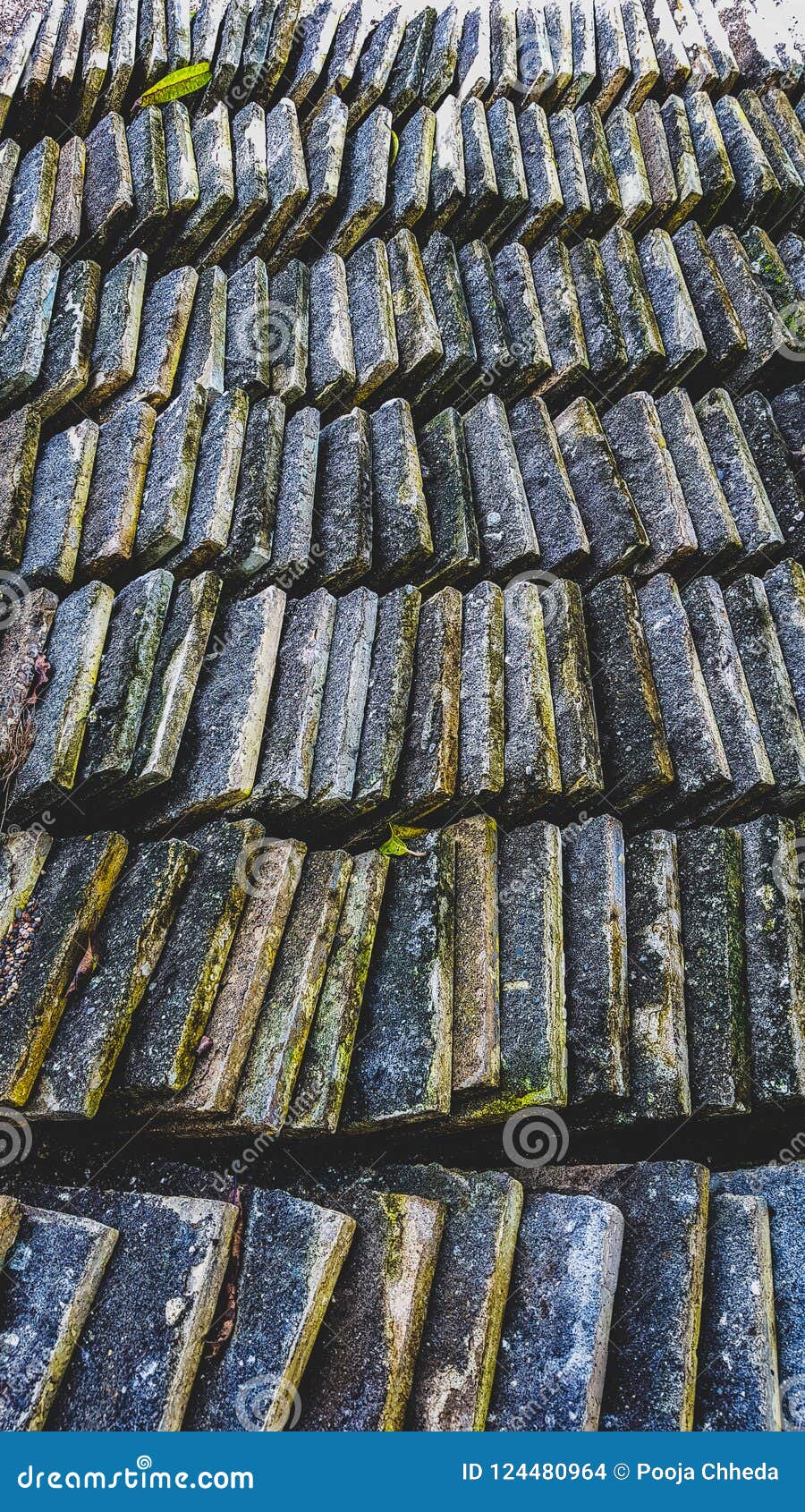 Tiles stock photo. Image of group, captured, pattern - 124480964