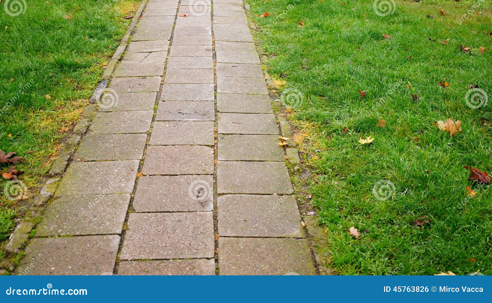 Tiles path stock photo. Image of path, grass, green, tiles - 45763826