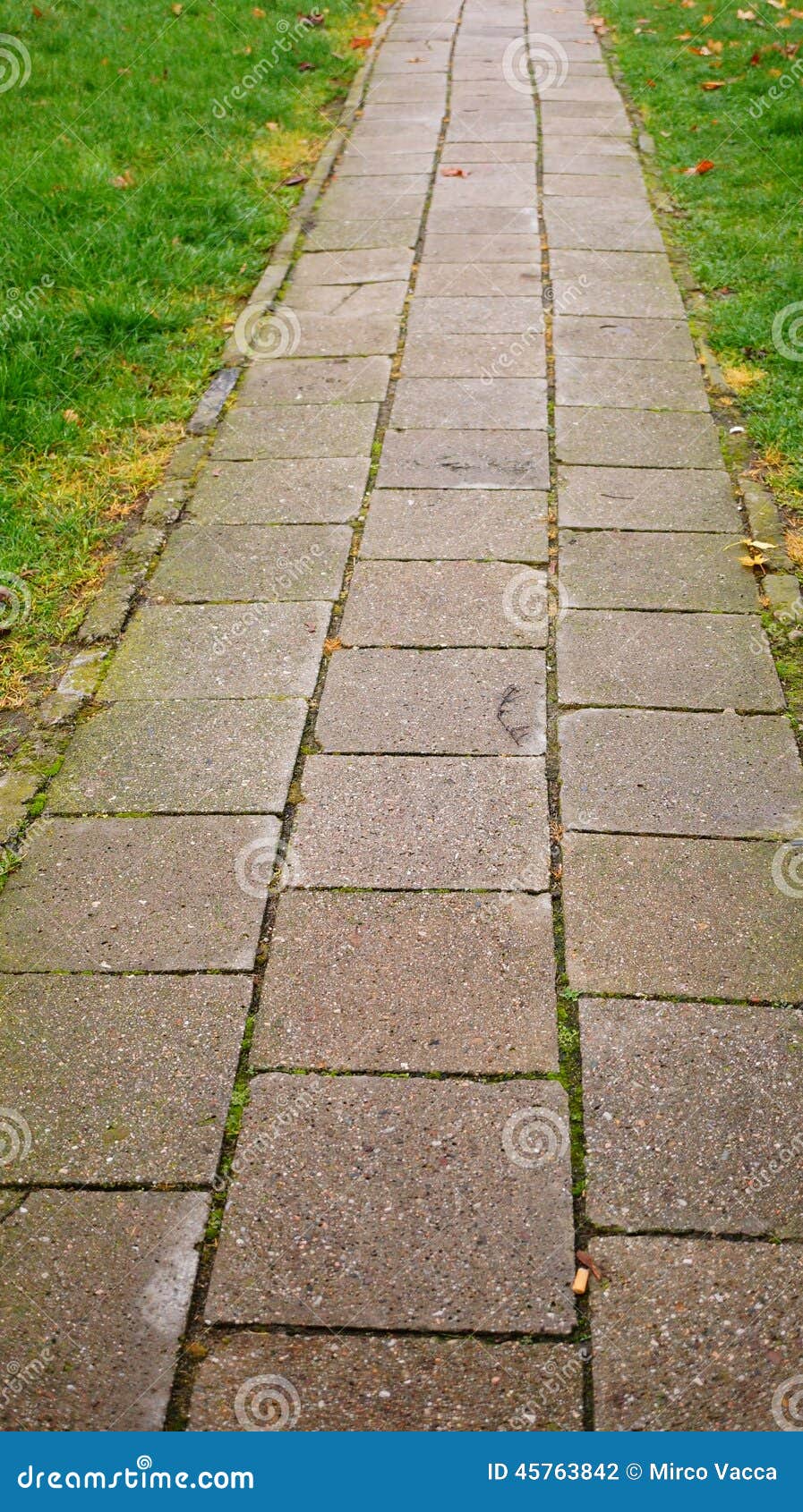 Tiles path stock photo. Image of path, wall, sidewalk - 45763842