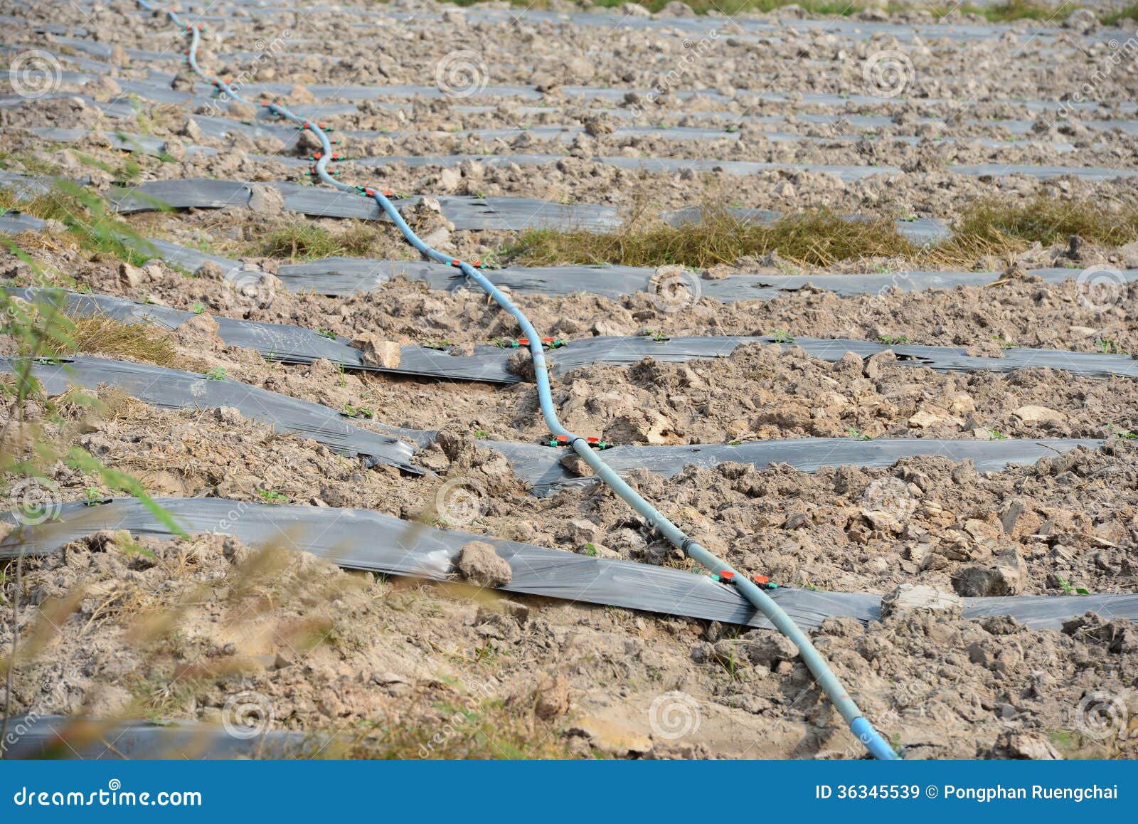 Tillage for cultivation stock image. Image of track, spring - 36345539