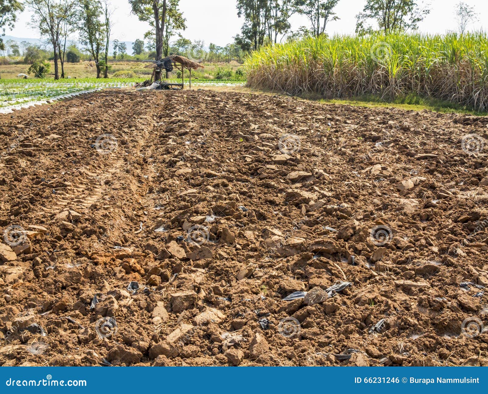 Tillage cultivation stock photo. Image of pattern, landscape - 66231246