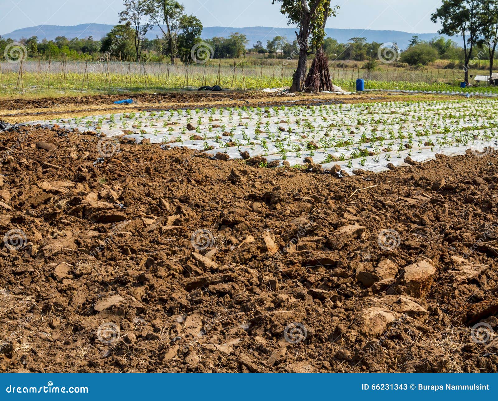 Tillage cultivation stock image. Image of earth, pattern - 66231343