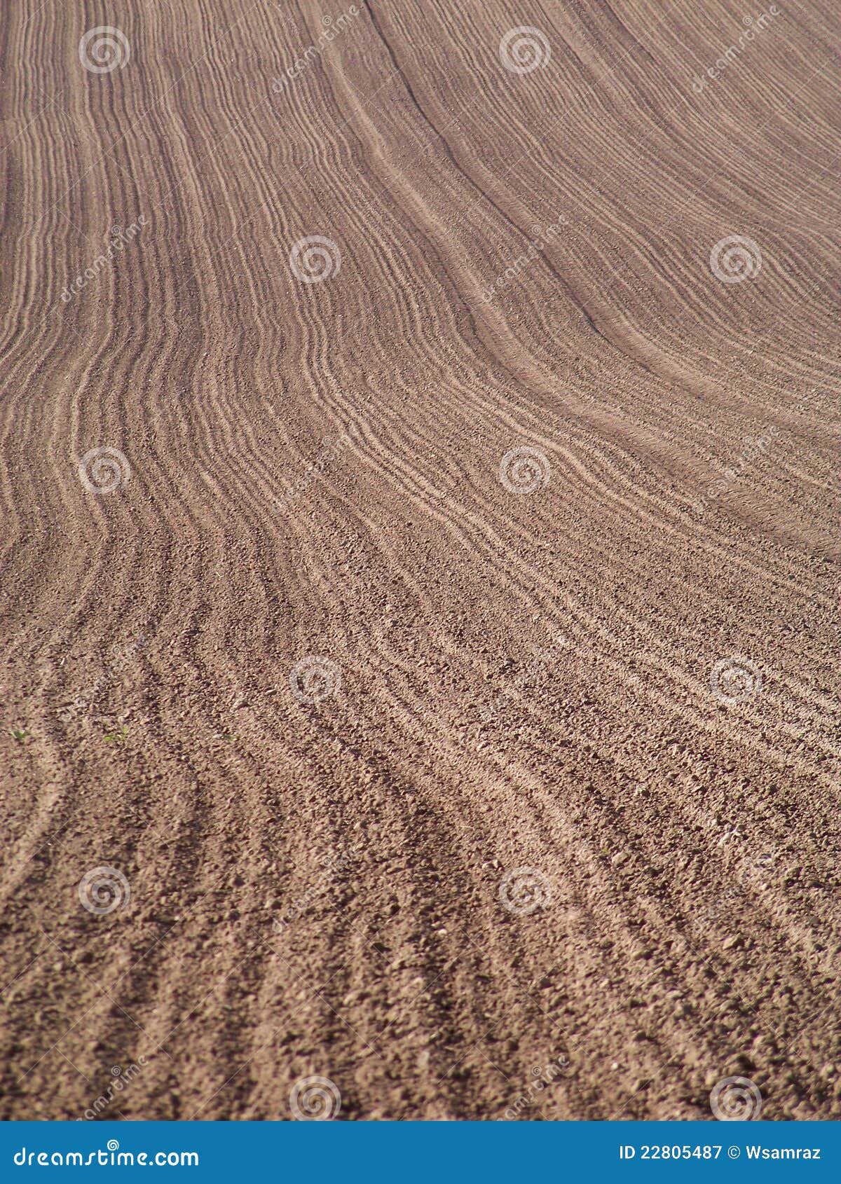 Tillage pattern stock image. Image of pattern, form, crop - 22805487