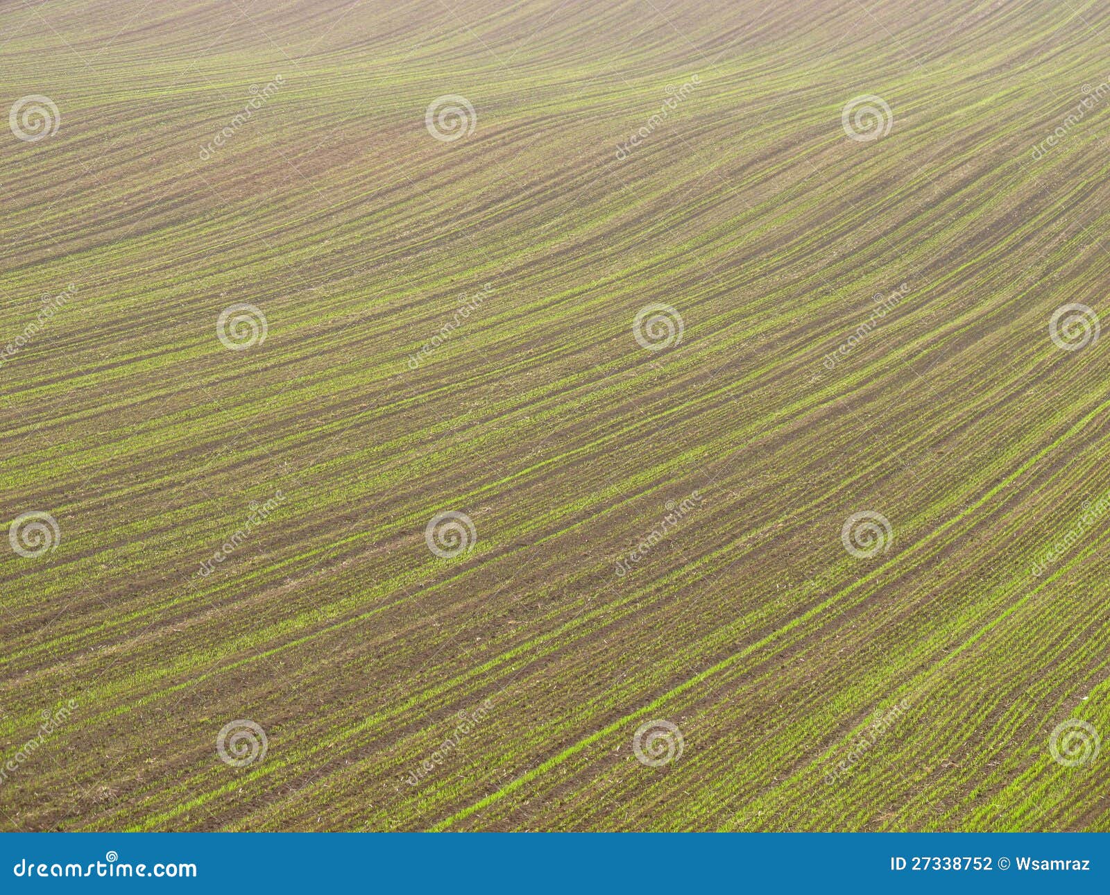 Tillage pattern stock photo. Image of plants, field, abstract - 27338752