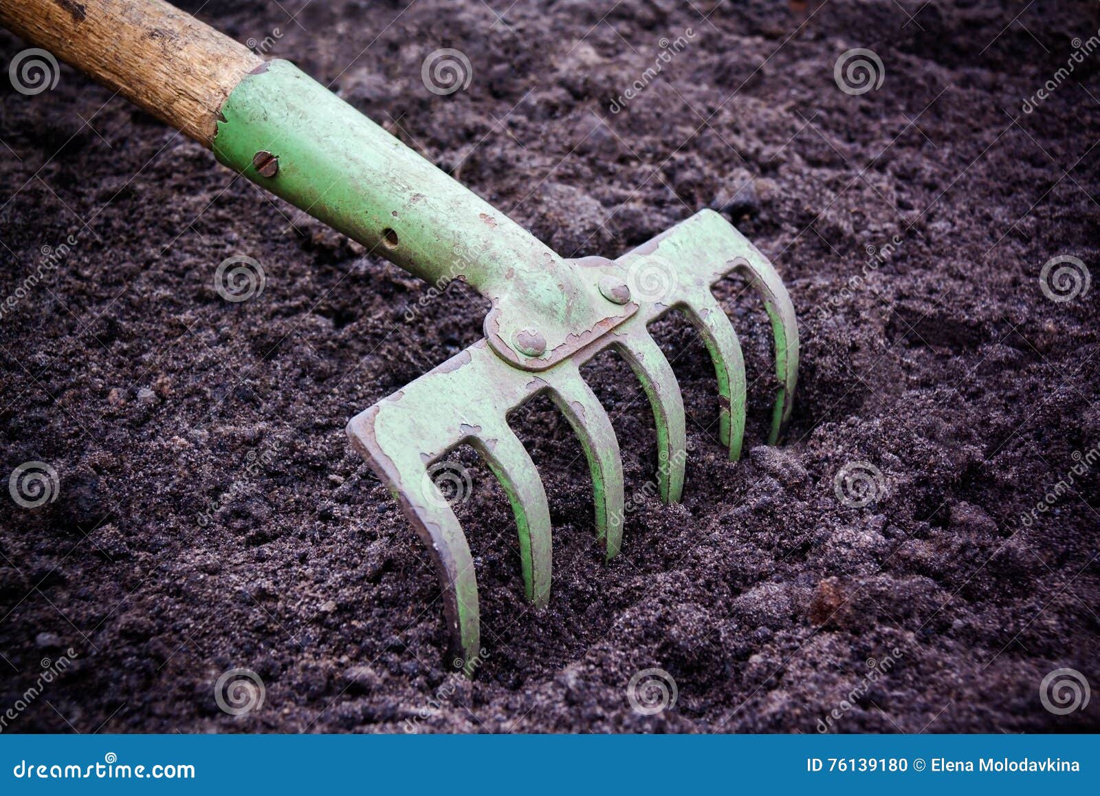 Tillage Rake for Planting Crops. Stock Photo - Image of rake, metall ...