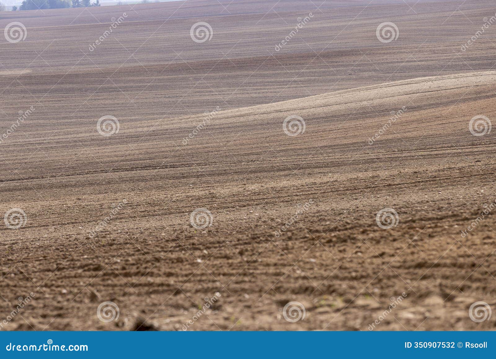 Poor Infertile Soil in the Field in the Spring after Plowing Stock ...