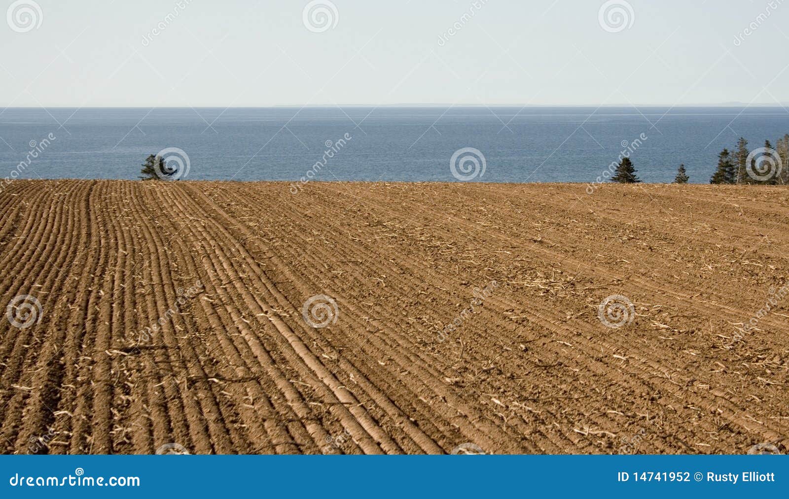 Tilled field by the ocean stock photo. Image of countryside - 14741952