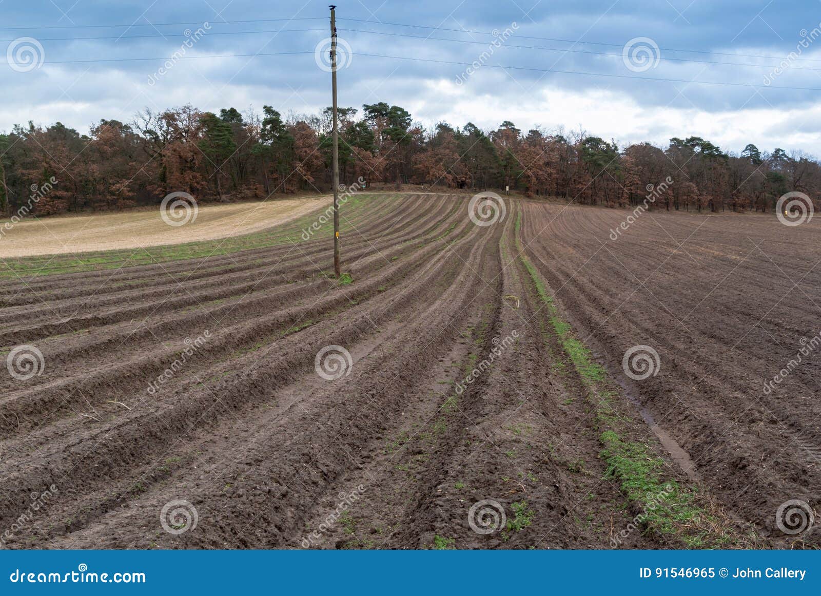 Tilled Fields stock image. Image of trees, valley, farm - 91546965