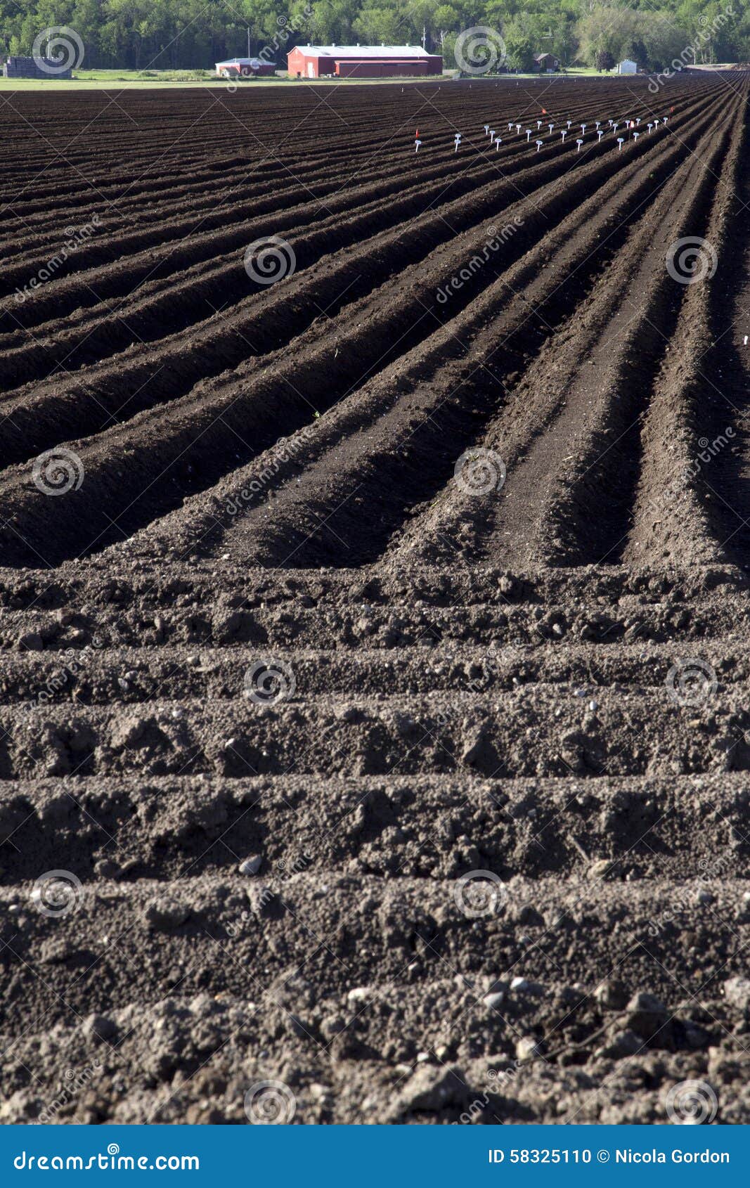 Tilled Soil on Farm stock photo. Image of soil, farming - 58325110