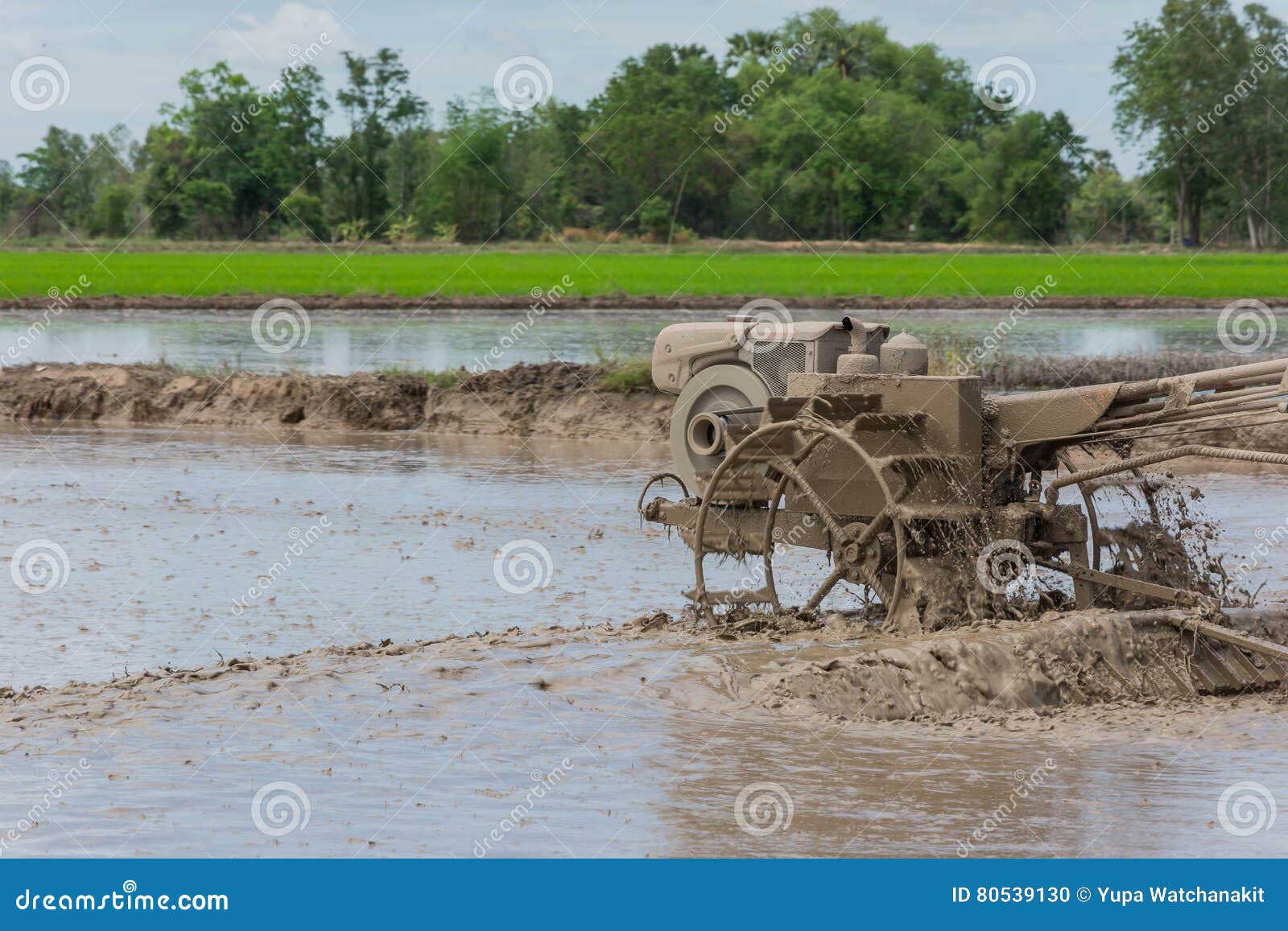 Tiller tractor stock photo. Image of grow, farmer, asia - 80539130