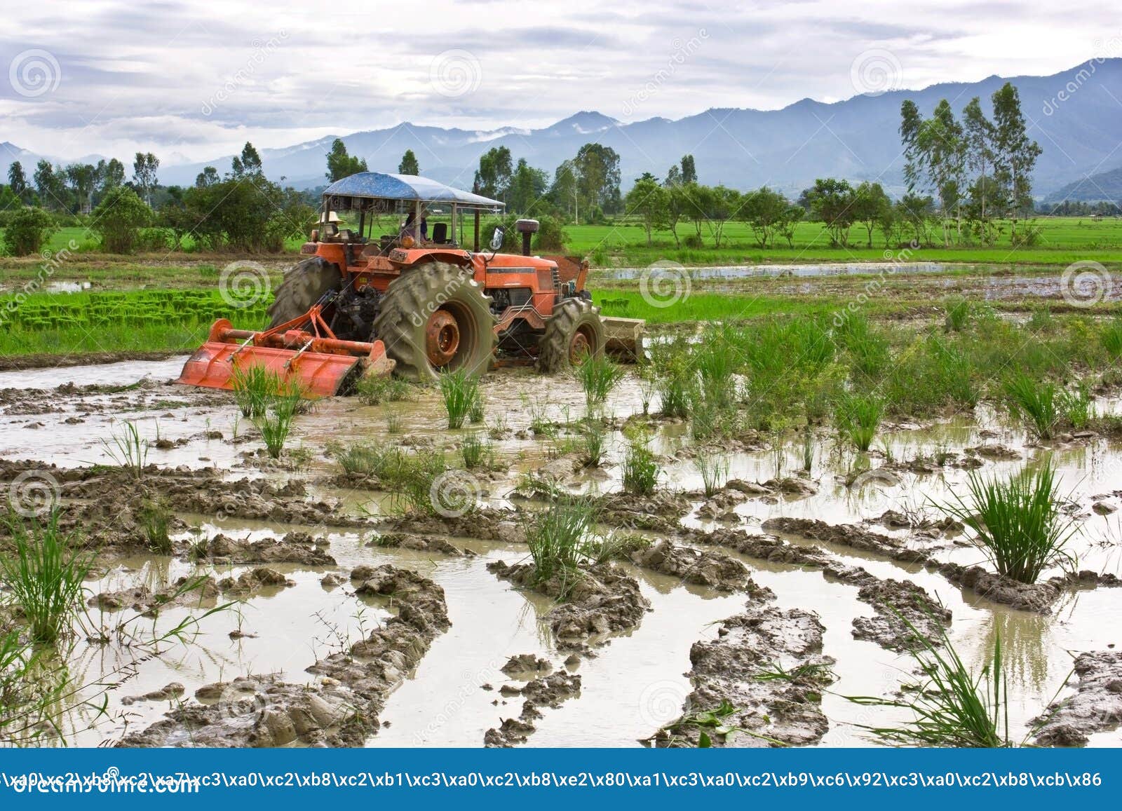 Tiller truck. stock image. Image of equipment, asia, driving - 20515689