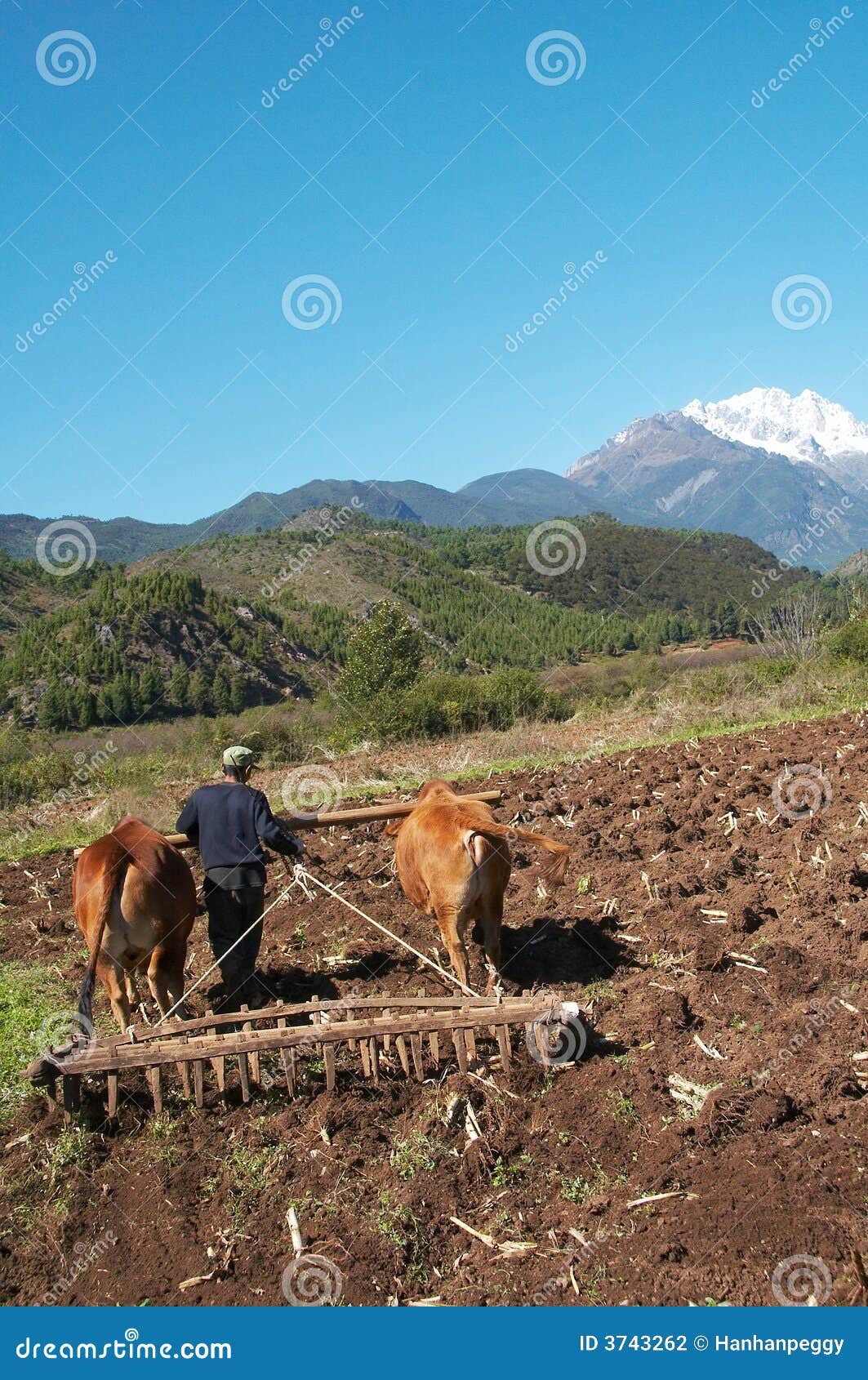 Tilling the Field at Foot of Snow Mountain Stock Photo - Image of ...