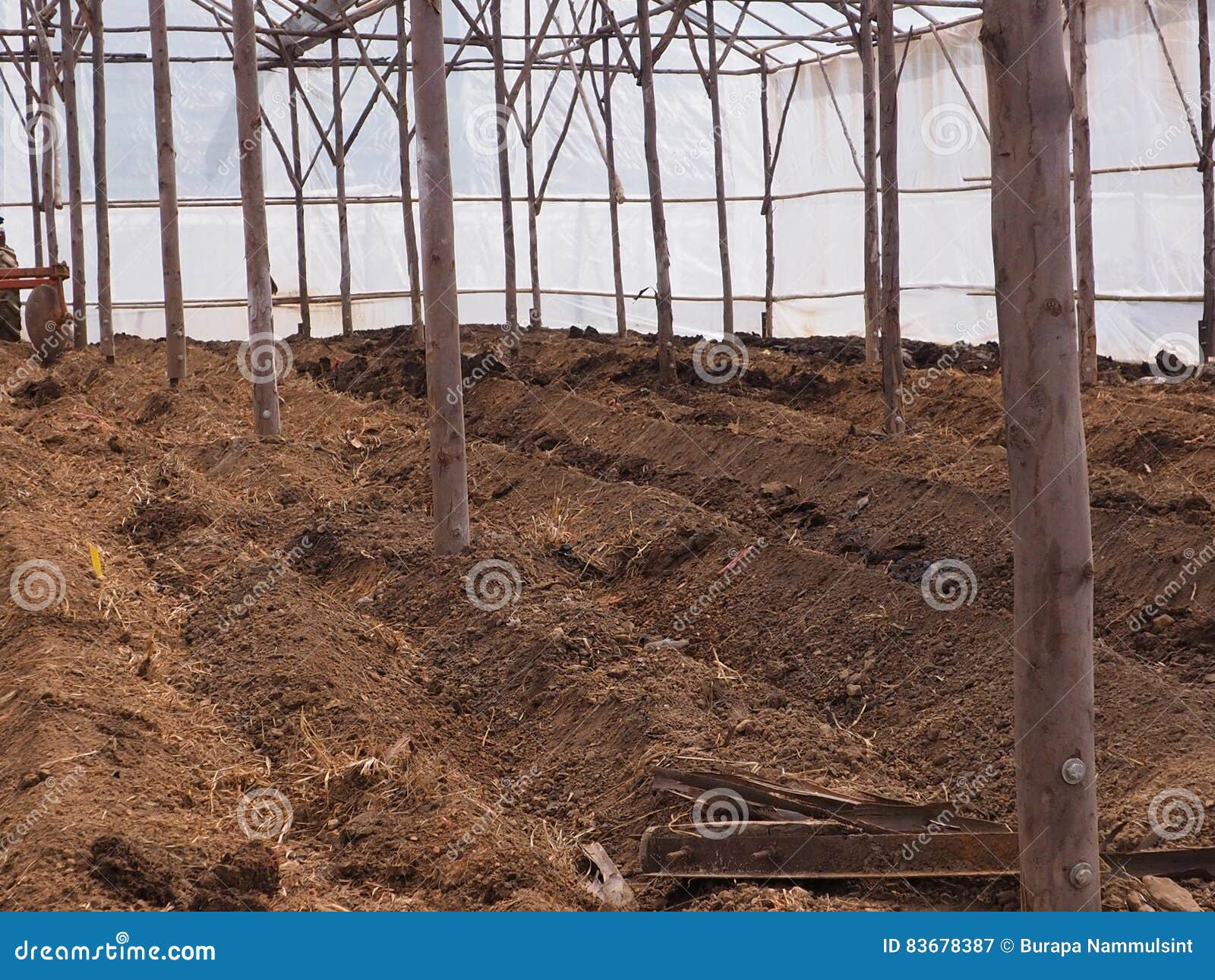 Tilling for Prepare Soil Cultivation. Stock Image - Image of ...