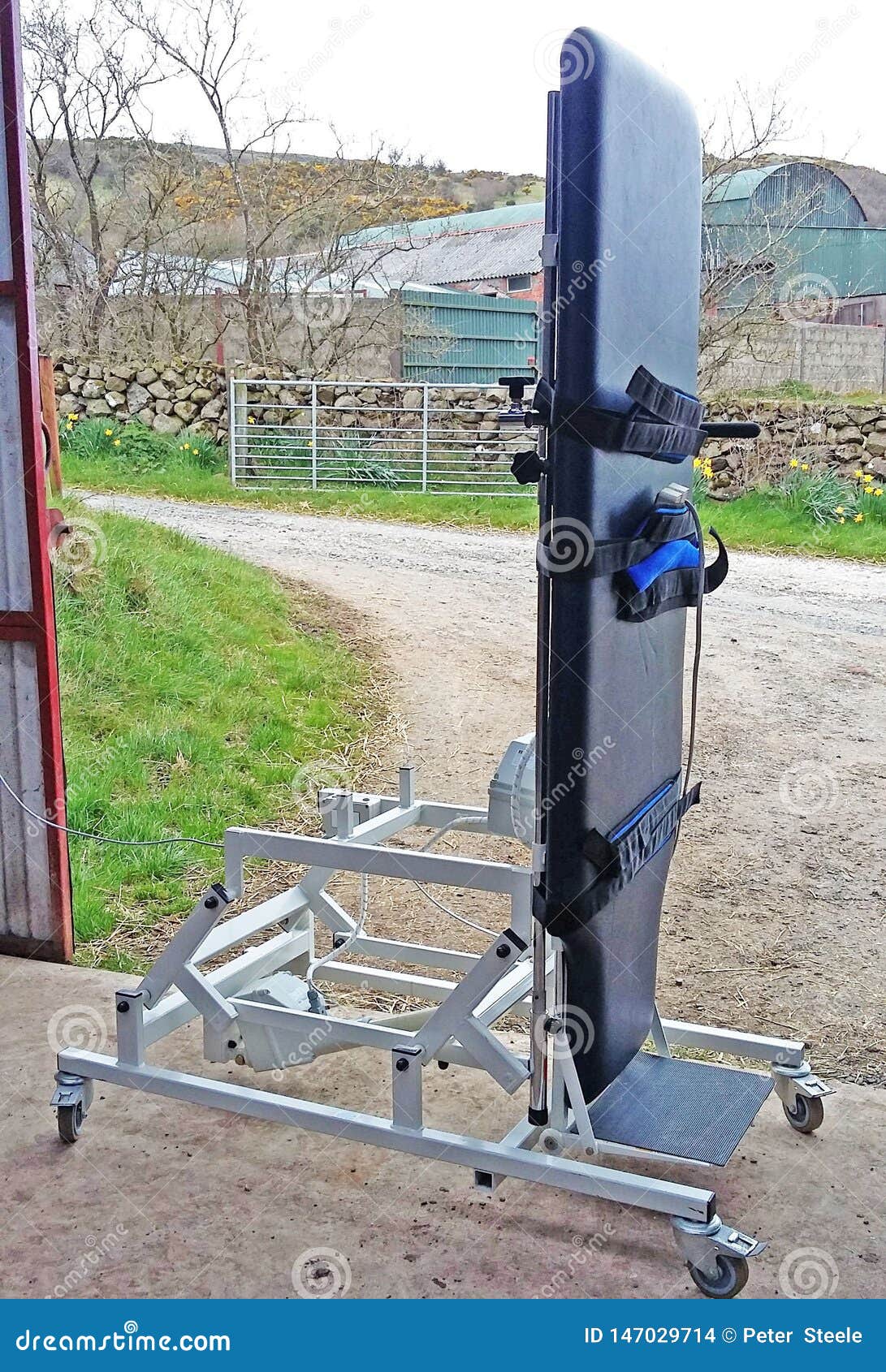 Standing Frame Royalty-Free Stock Photo | CartoonDealer.com #25508811